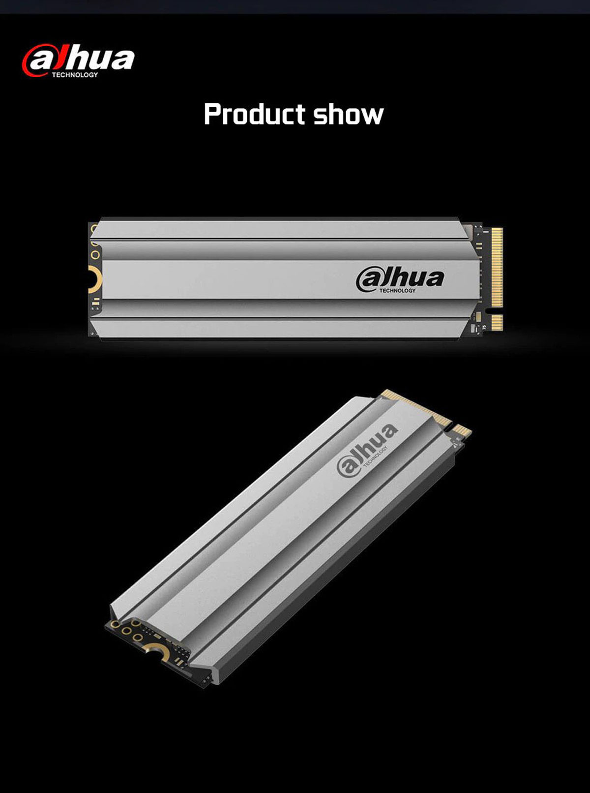 Dahua C900 PLUS NVMe M 2 SSD 1TB