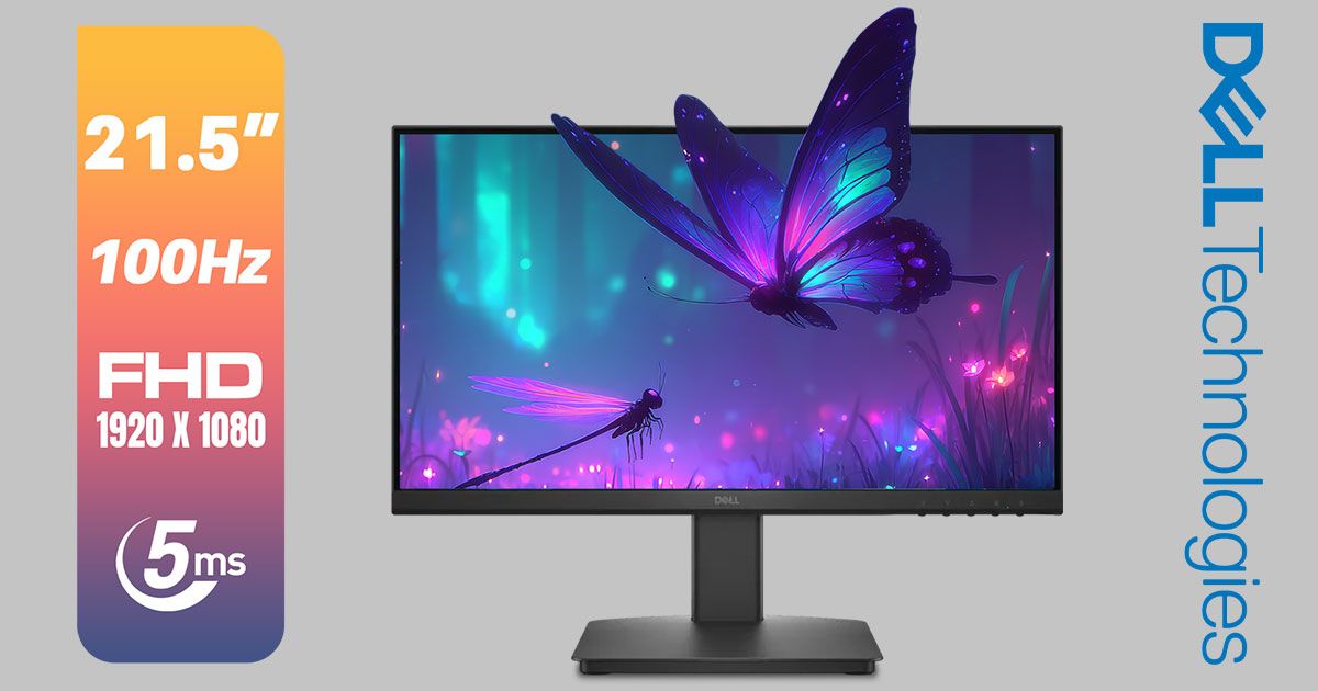Dell SE2225HM 22" Full HD 100Hz VA Monitor