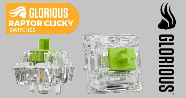 Glorious Raptor Clicky Switches 36-Pack — Pre-Lubed RGB