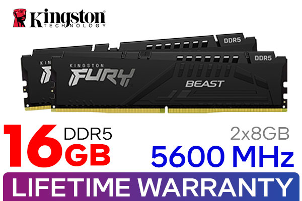 Kingston Fury Beast 16GB 5600MHz DDR5 CL36 Memory - High Performance RAM