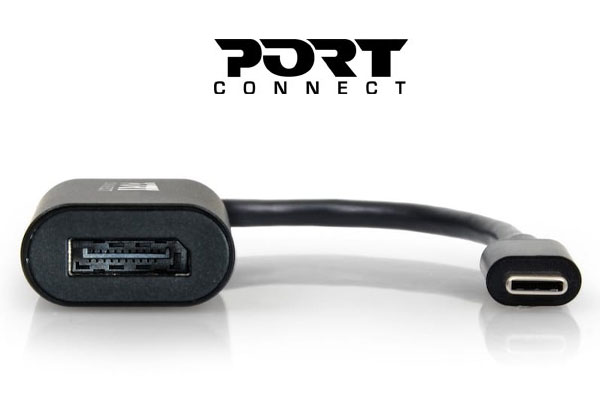 Port Connect Type C to DisplayPort Converter - High-Quality Video ...
