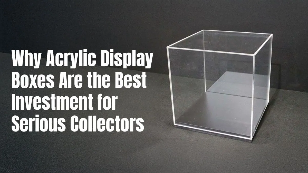 Protect & Showcase Your Gear